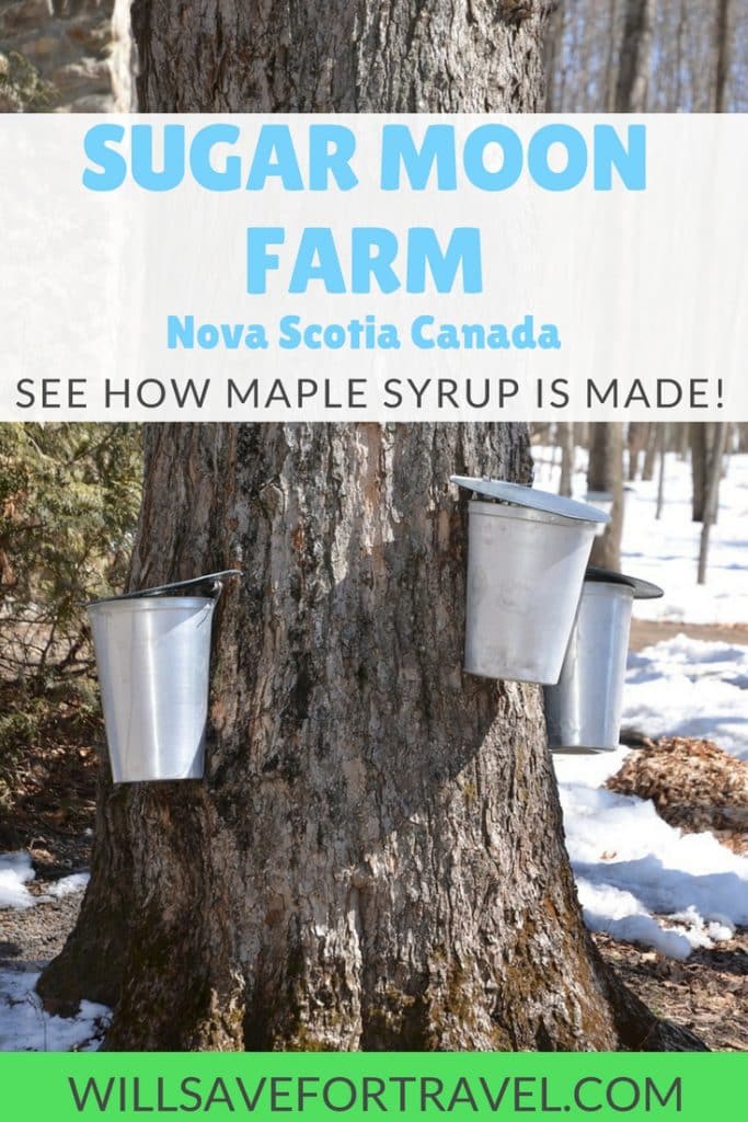 Sugar Moon Farm - Day Trip From Halifax - Will Save For Travel
